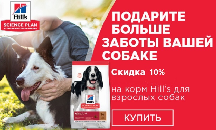 Зоомагазин Мистер Гав в Челябинске | Купить зоотовары для животных в ...